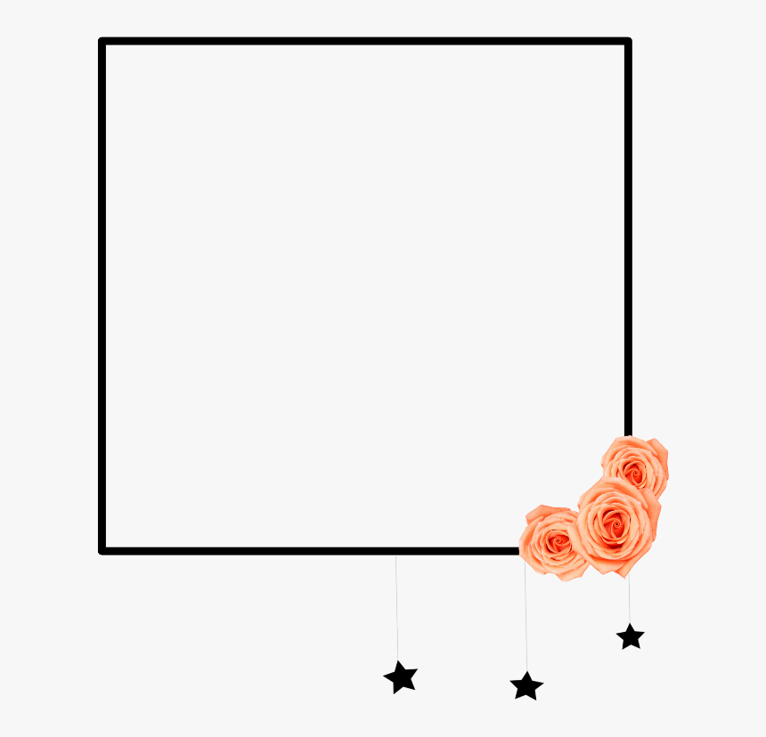 #tumblr #tumblrframe #frame #flowerframe #flower #roseframe ...