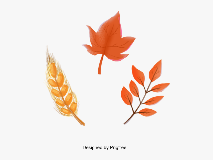Cartoon Orange Leaf Png, Transparent Png , Transparent Png Image - PNGitem