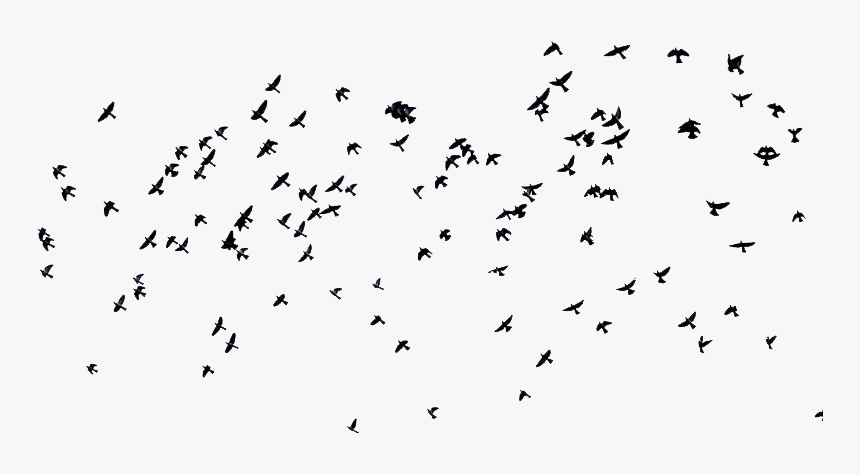 Birds And Overlay Image - Migrating Birds Creative Commons, HD Png ...