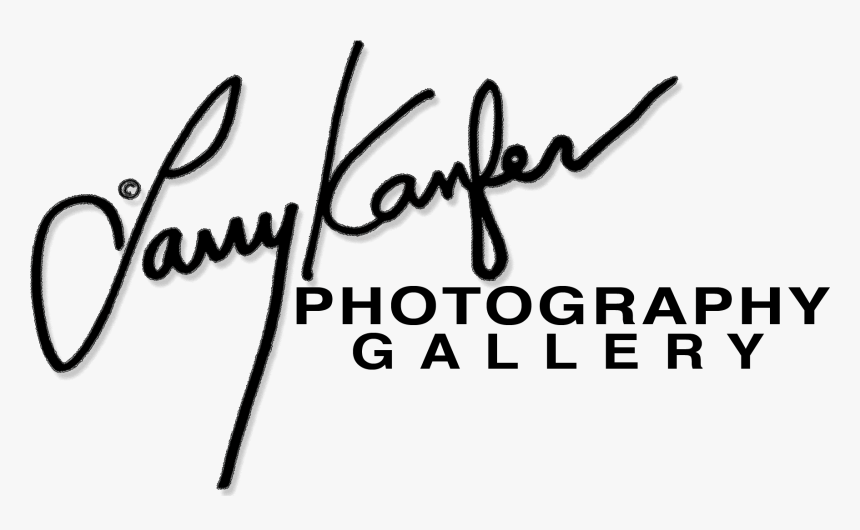 Larry Kanfer Photography Gallery - Larry Kanfer, HD Png Download ...