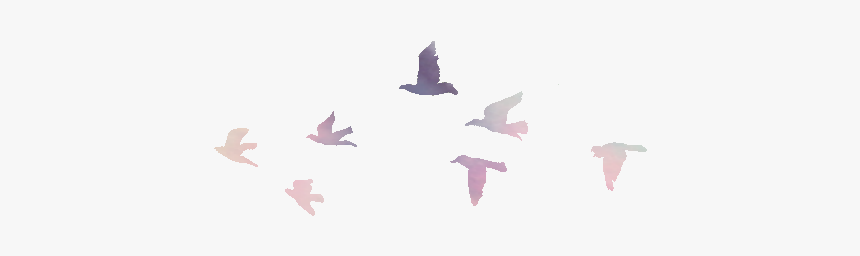 Birds, Free, And Overlay Image - Overlays For Editing Transparent, HD ...