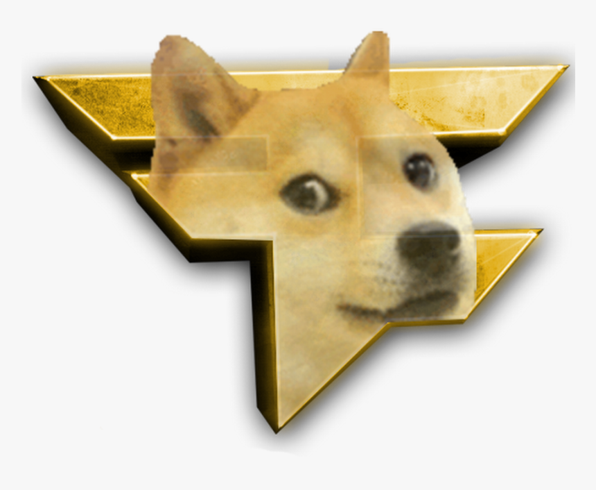 Doge Transparent Png - Faze Doge, Png Download , Transparent Png Image ...