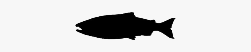 Coho Salmon Png Clip Art - Coho, Transparent Png , Transparent Png ...
