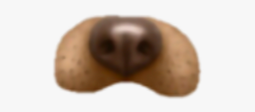#snapchat #filter #dog - Snap Chat Doggy Filter, HD Png Download ...
