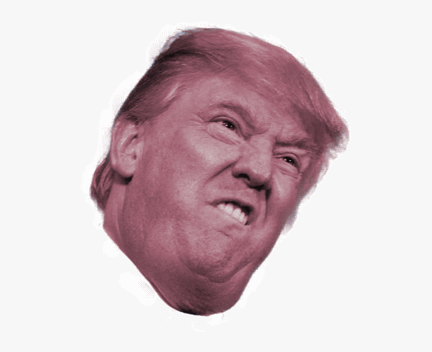 Donald Trump Png, Transparent Png , Transparent Png Image - PNGitem