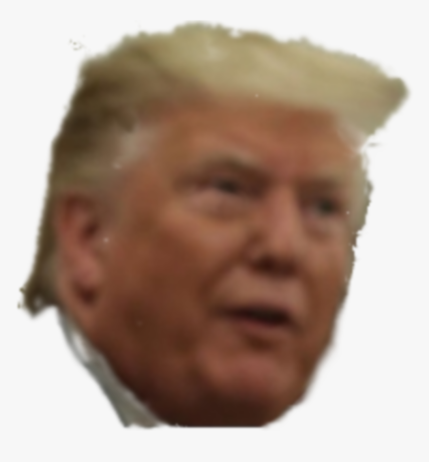 Human, HD Png Download , Transparent Png Image - PNGitem