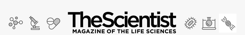 Scientist Magazine, HD Png Download , Transparent Png Image - PNGitem