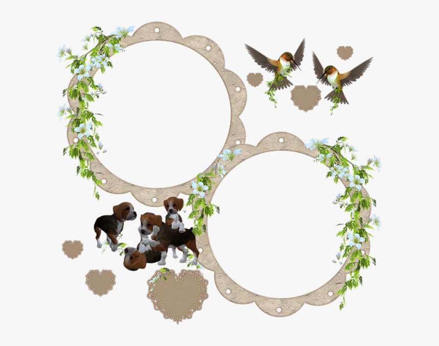 Cadre - Picture Frame, HD Png Download , Transparent Png Image - PNGitem