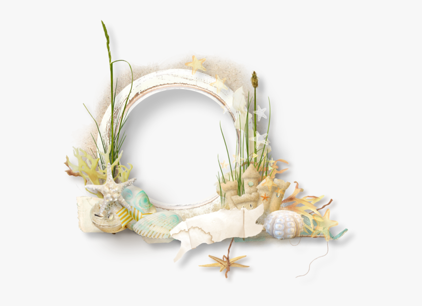 Seashell Transparent Background Frame, HD Png Download , Transparent ...