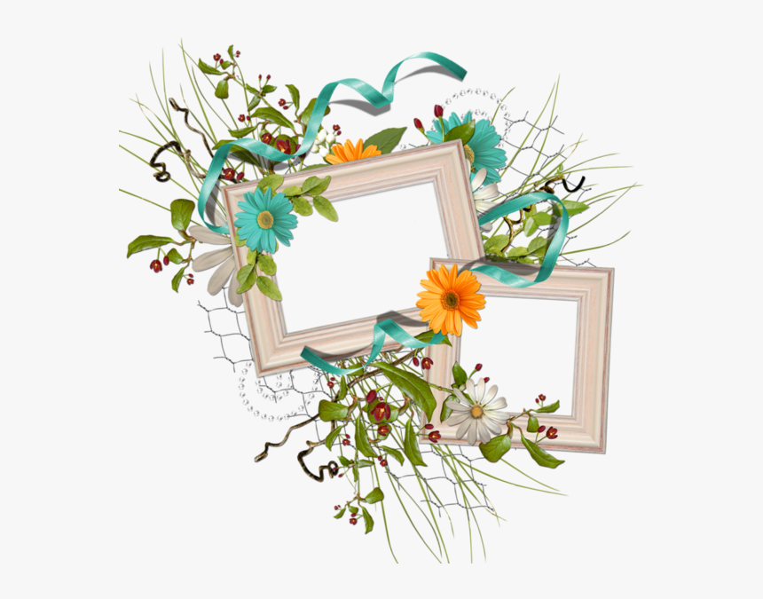 Cadre - Picture Frame, HD Png Download , Transparent Png Image - PNGitem