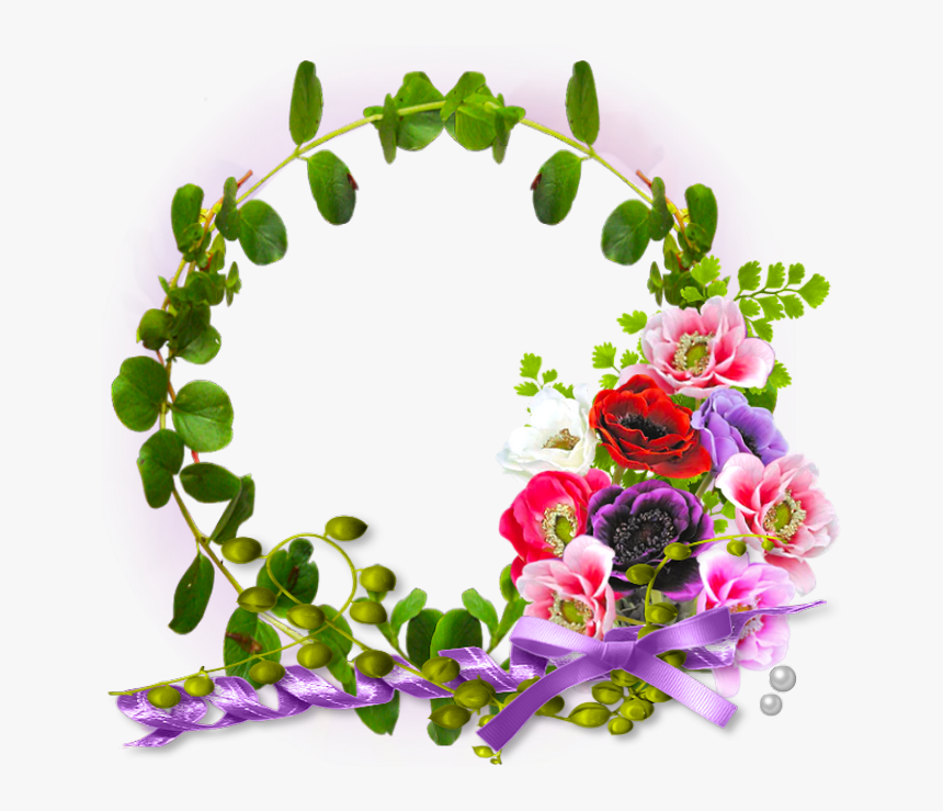 Rose, HD Png Download , Transparent Png Image - PNGitem