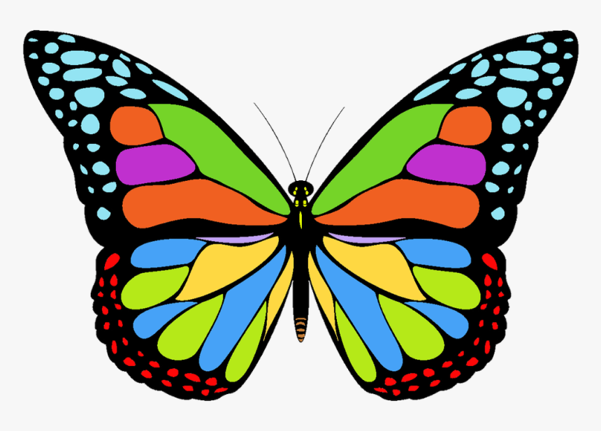 Monarch Butterflies Png Clipart