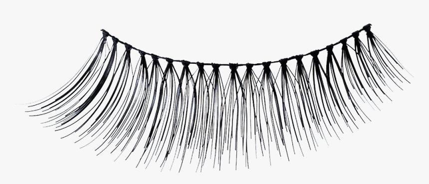 False Eyelashes Png