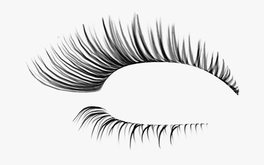 Eyelash Png - Transparent Background Eyelashes Transparent, Png ...