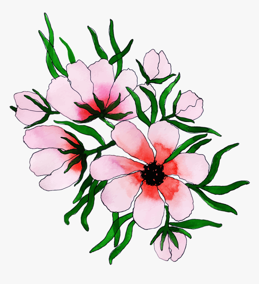 Gilliflower, HD Png Download , Transparent Png Image - PNGitem