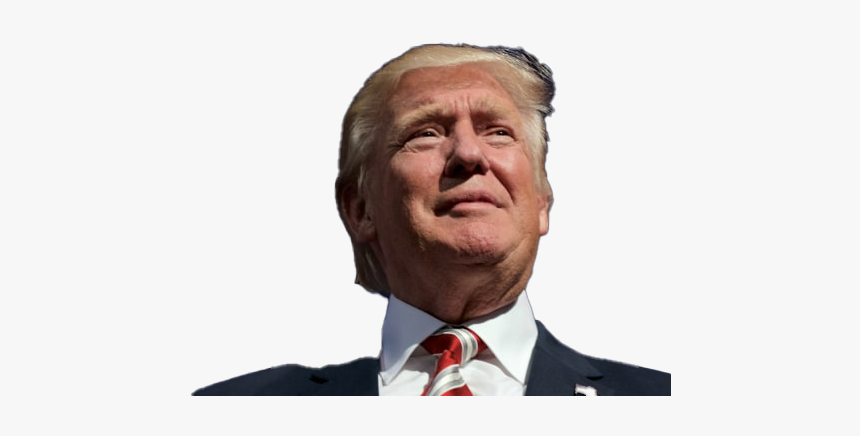 Official, HD Png Download , Transparent Png Image - PNGitem