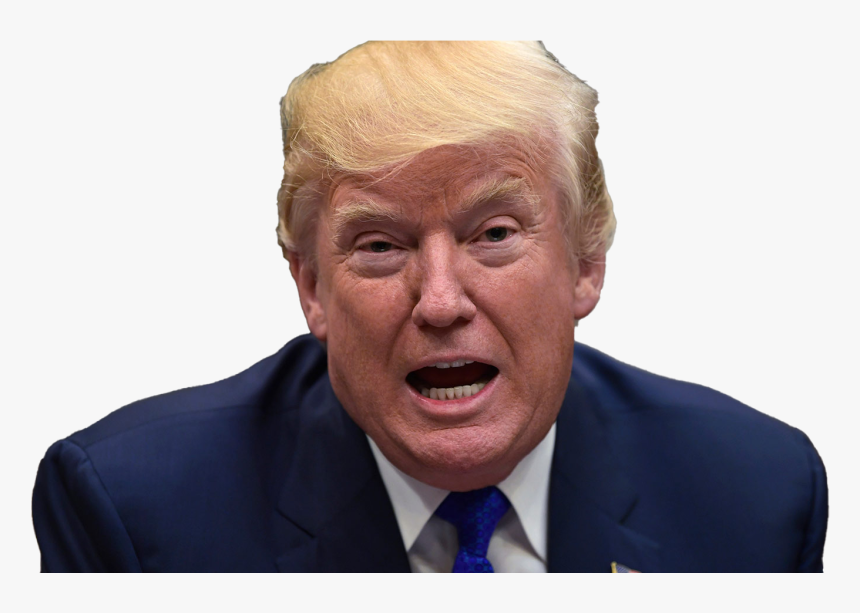 Donald Trump, HD Png Download , Transparent Png Image - PNGitem
