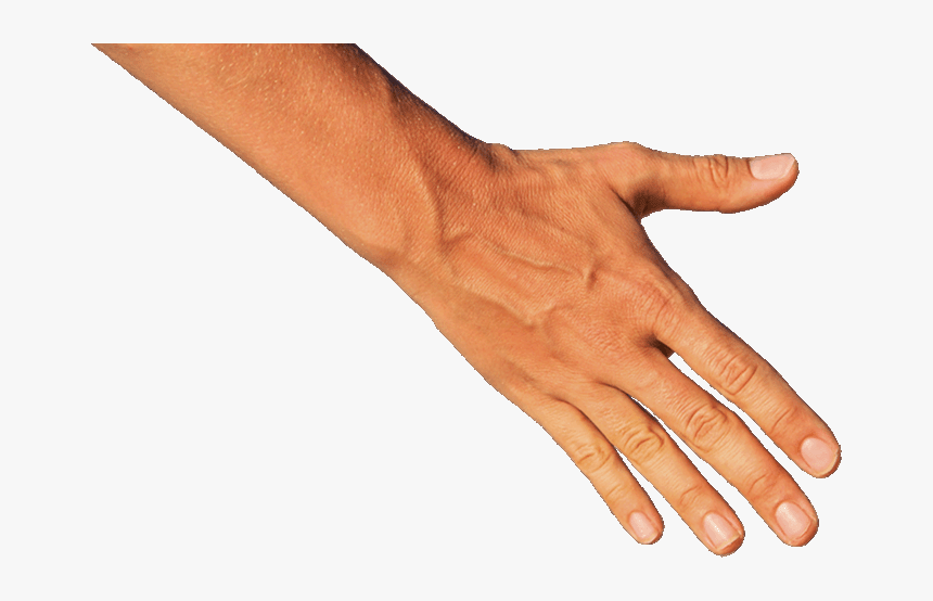 Transparent Hand Down , Png Download - Helping Hand Image Transparent ...