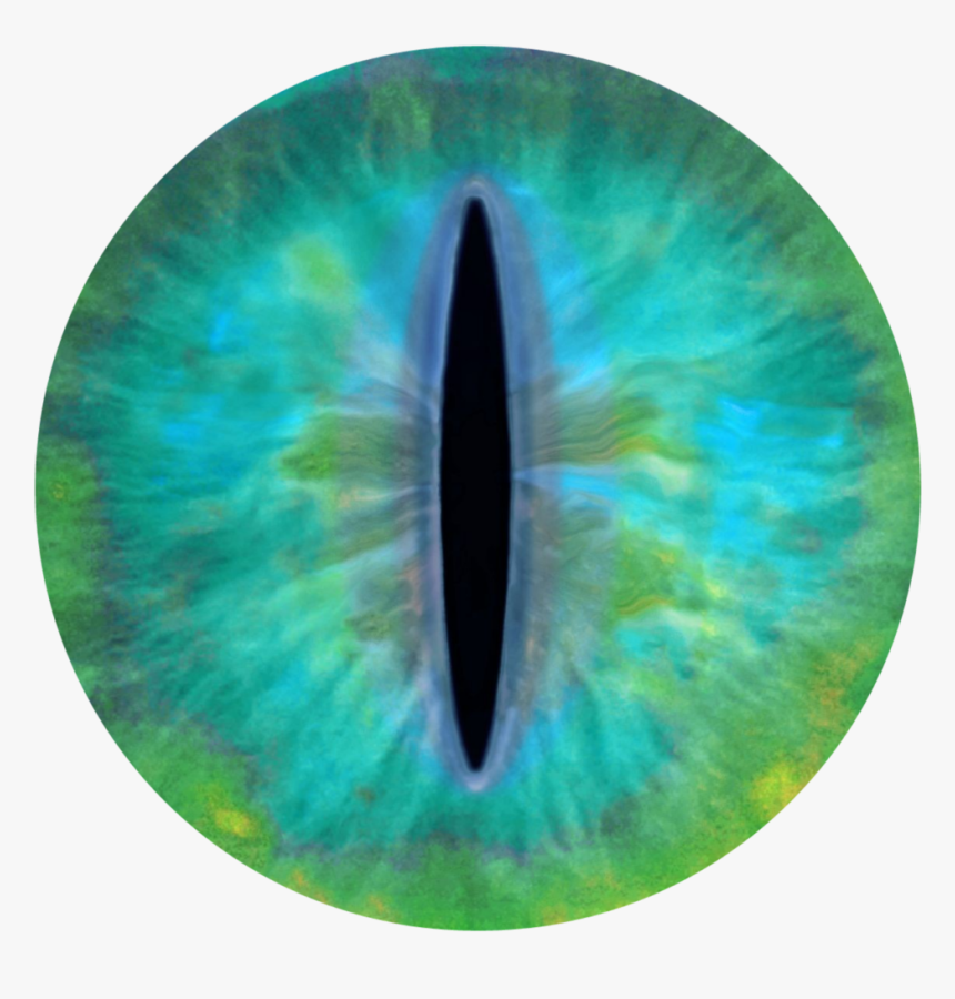 Cute Eye Png, Transparent Png , Transparent Png Image - PNGitem