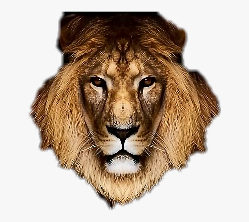 Mpho Makwana Wife, HD Png Download , Transparent Png Image - PNGitem