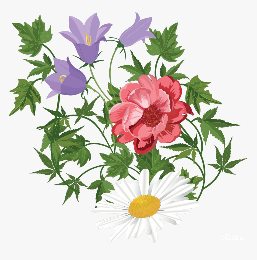 Flower Floral Design Clip Art Transprent - Transparent Background ...