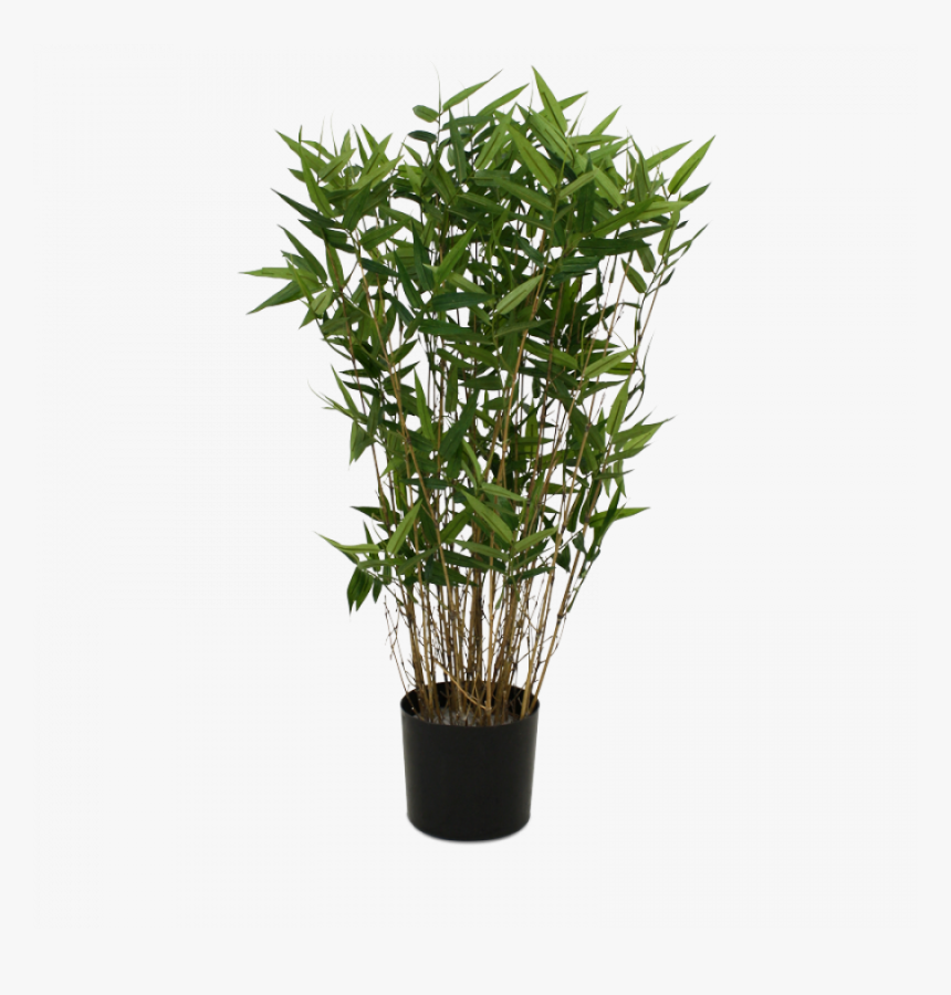 Transparent Bamboo Tree Png - Potted Bamboo Plant Png, Png Download ...