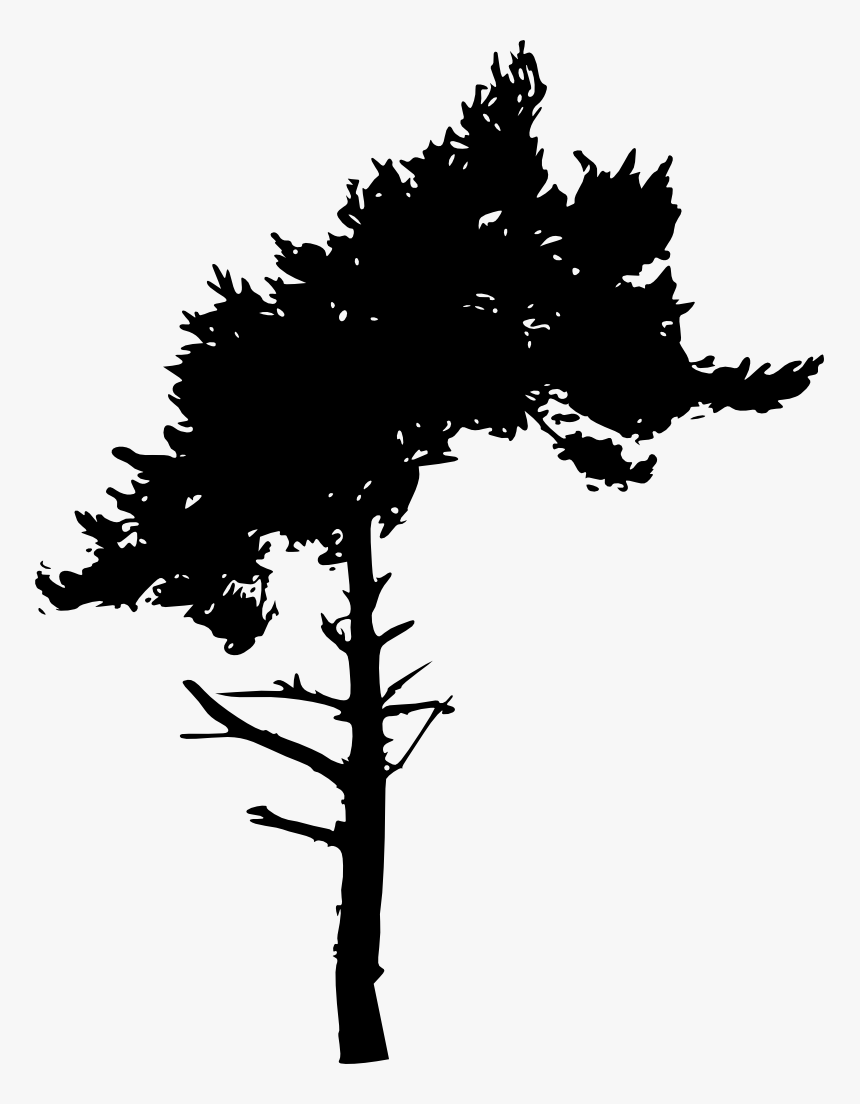 Tree Silhouette - Tree Silhouette Cut Out Png, Transparent Png ...