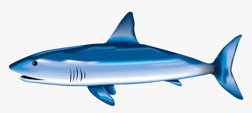 Shark Fin Animated Gif