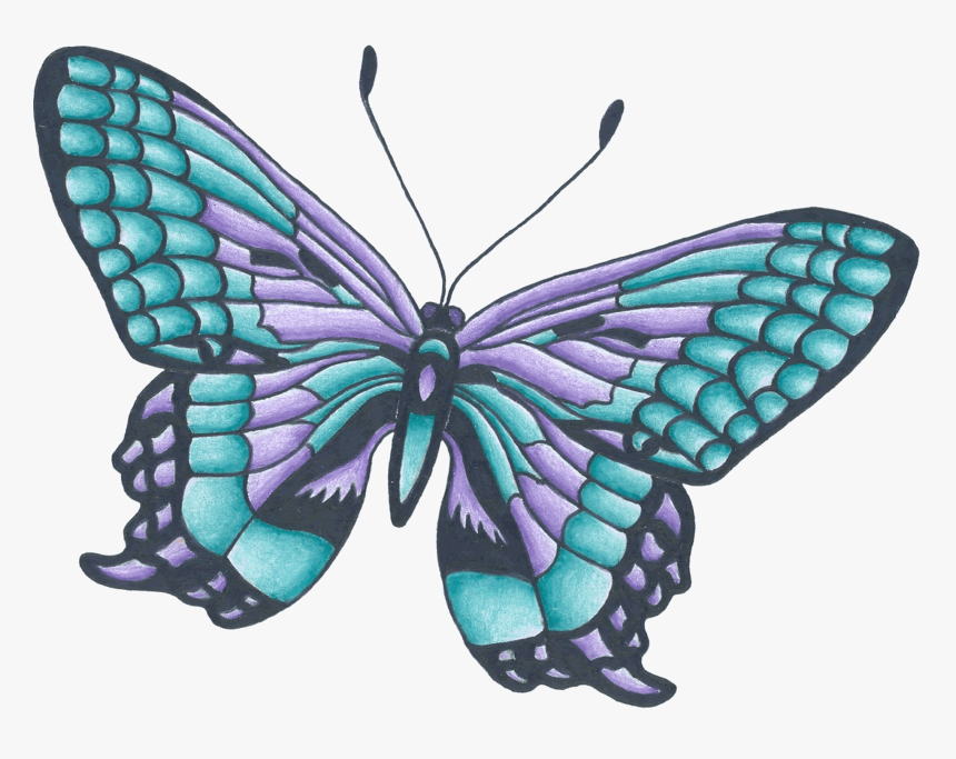 Butterfly Designs To Draw