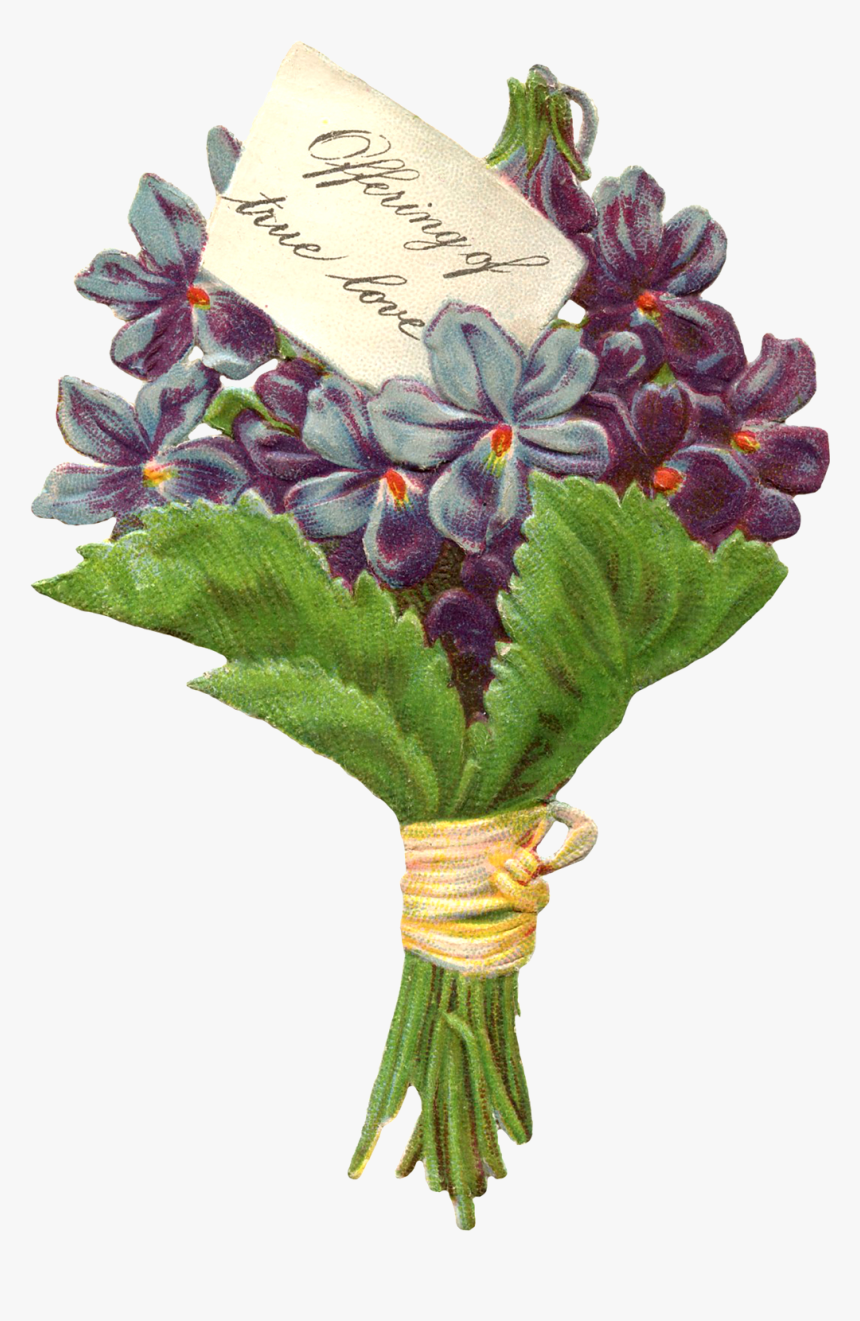 Victorian Violet, HD Png Download , Transparent Png Image - PNGitem