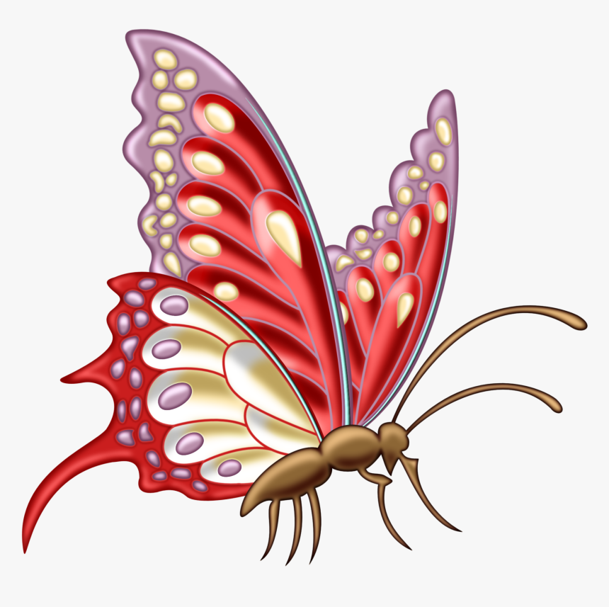 Clipart Insect Drawing Butterfly Png - Butterfly Designs For Assignment ...