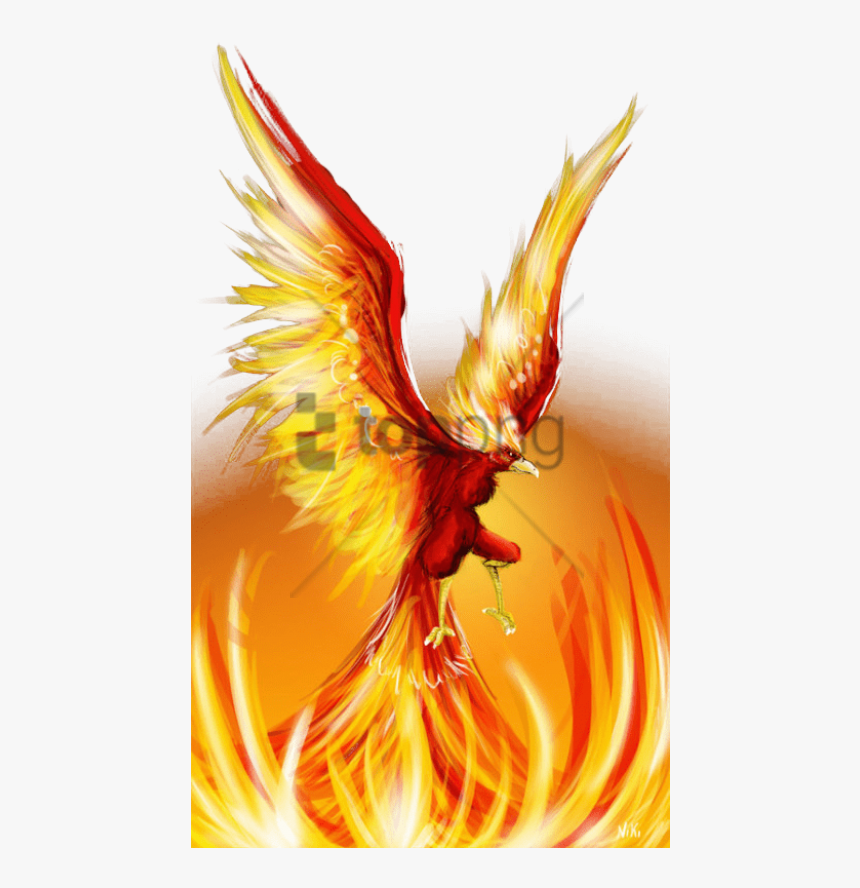 Free Png Fire Phoenix Png Image With Transparent Background - Fire ...