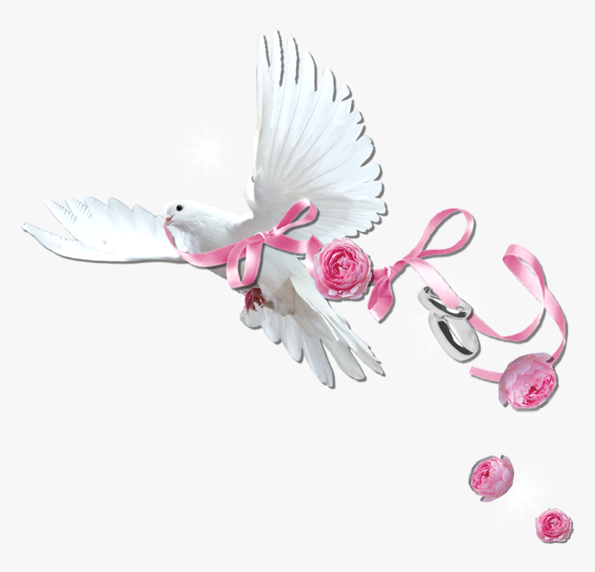 Wedding Invitation Dove Design, HD Png Download , Transparent Png Image ...