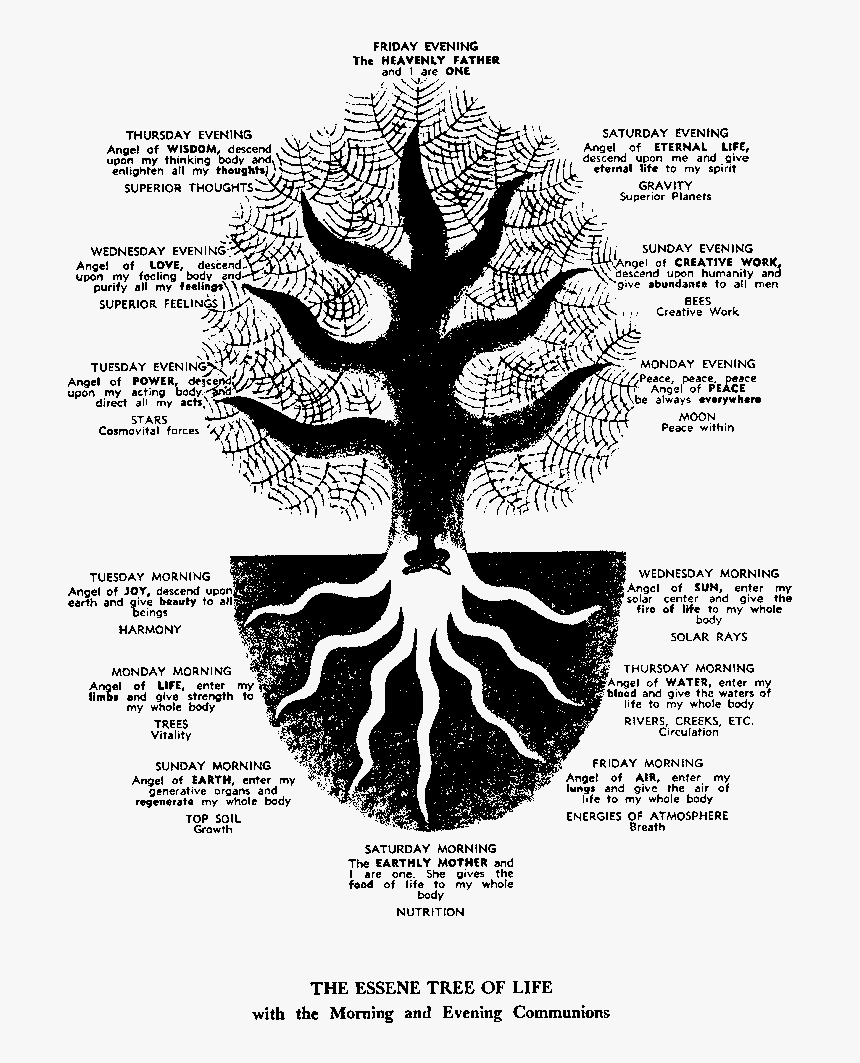 Sun Moon Tree Of Life, HD Png Download , Transparent Png Image - PNGitem