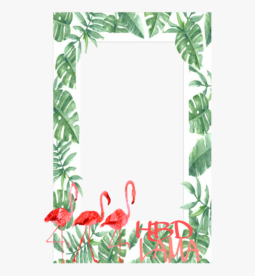 #flamingo - Tropical Transparent Flamingo Border, HD Png Download ...
