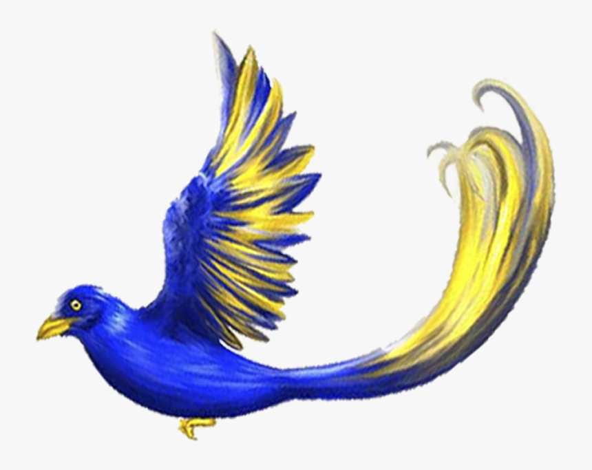 Phasianidae, HD Png Download , Transparent Png Image - PNGitem