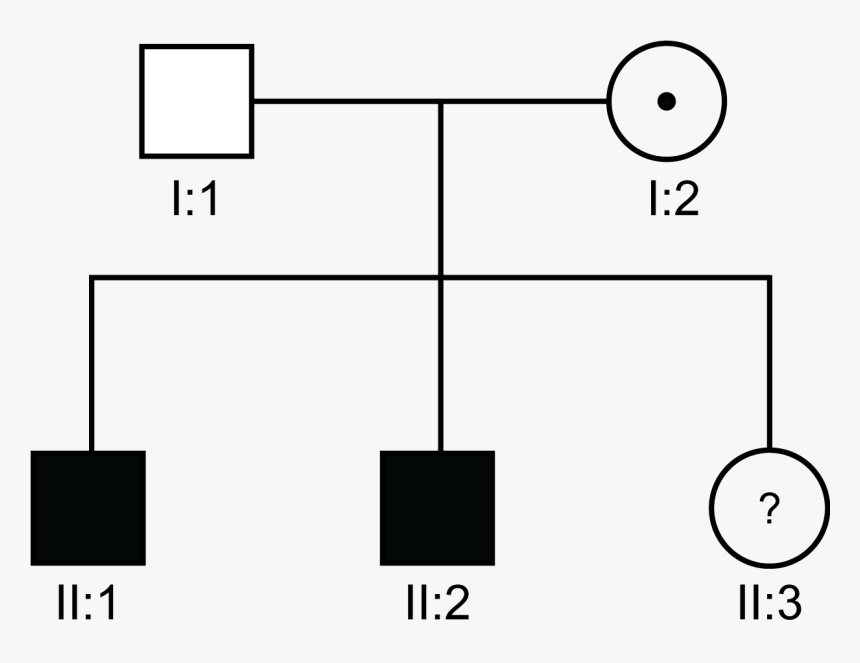 Diagram, HD Png Download , Transparent Png Image - PNGitem
