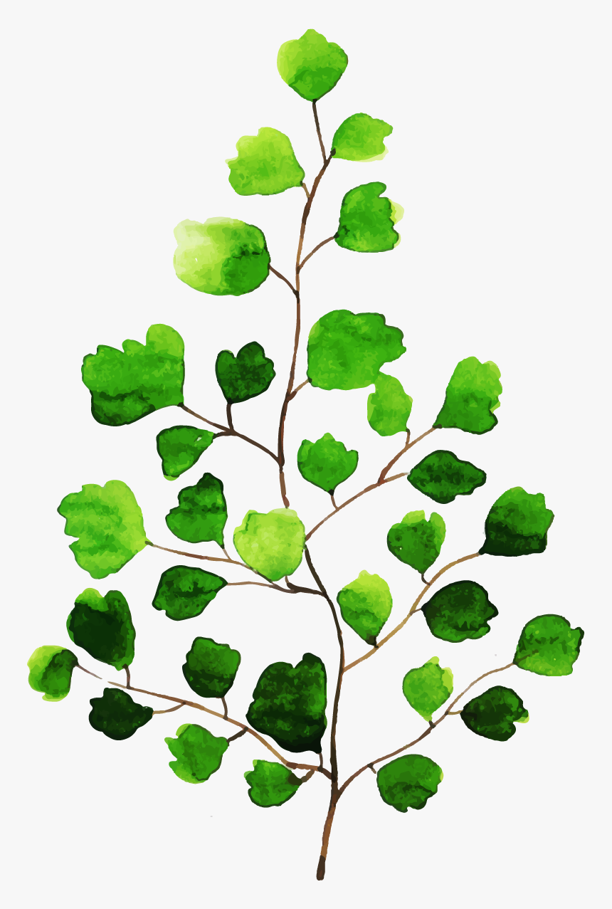 Twig, HD Png Download , Transparent Png Image - PNGitem