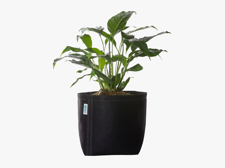 Black Flower Pot Transparent, HD Png Download , Transparent Png Image ...