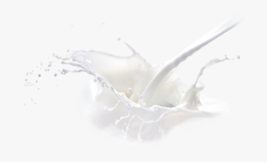 Macro Photography, HD Png Download , Transparent Png Image - PNGitem