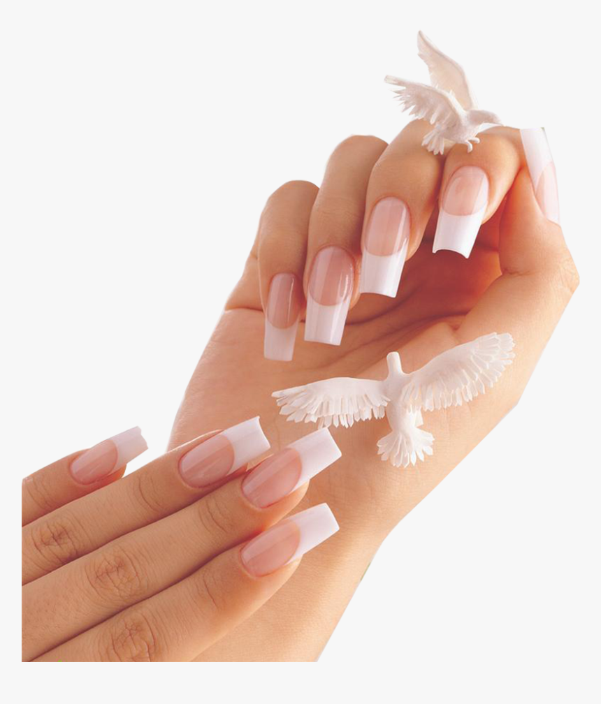 Nail Salon Png, Transparent Png , Transparent Png Image - PNGitem