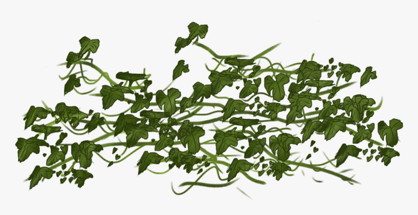 Ivy Transparent, HD Png Download , Transparent Png Image - PNGitem