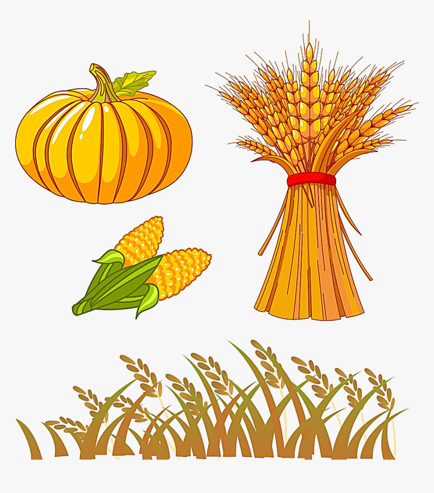 Harvest Clip Art, HD Png Download , Transparent Png Image - PNGitem