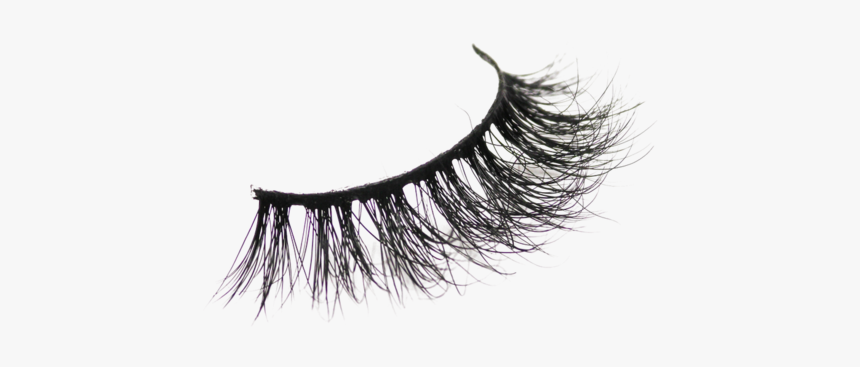 Eyelash Extensions, HD Png Download , Transparent Png Image - PNGitem