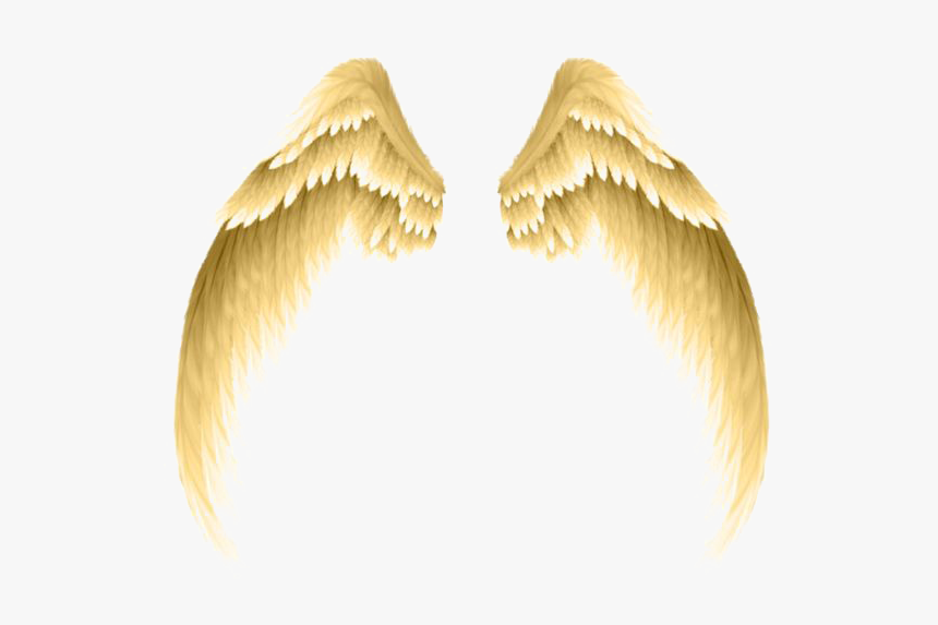 Photography Clip Art - White And Red Angel Wings, HD Png Download ...