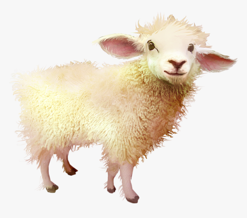 Sheep , Png Download - Baby Sheep Png, Transparent Png , Transparent ...