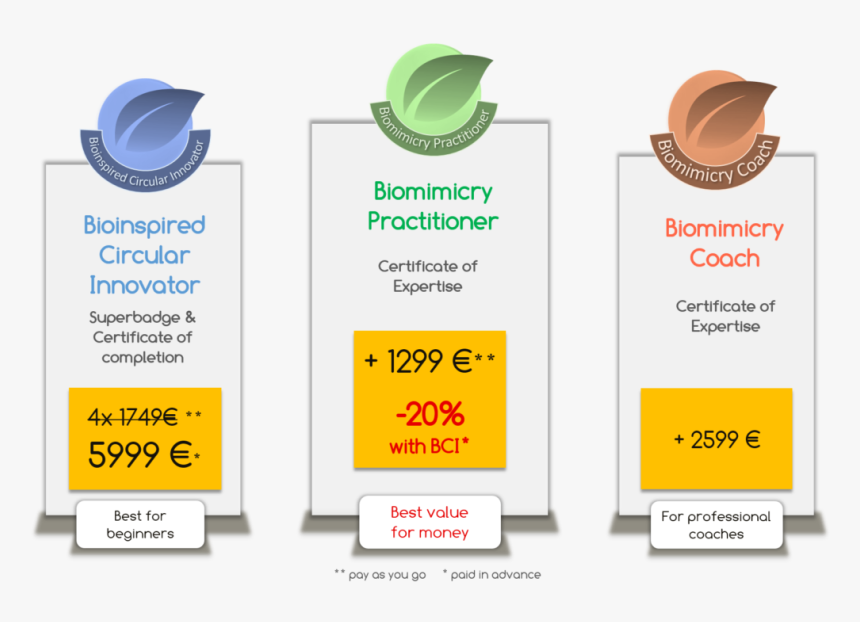 Bma Prices - Label, HD Png Download , Transparent Png Image - PNGitem