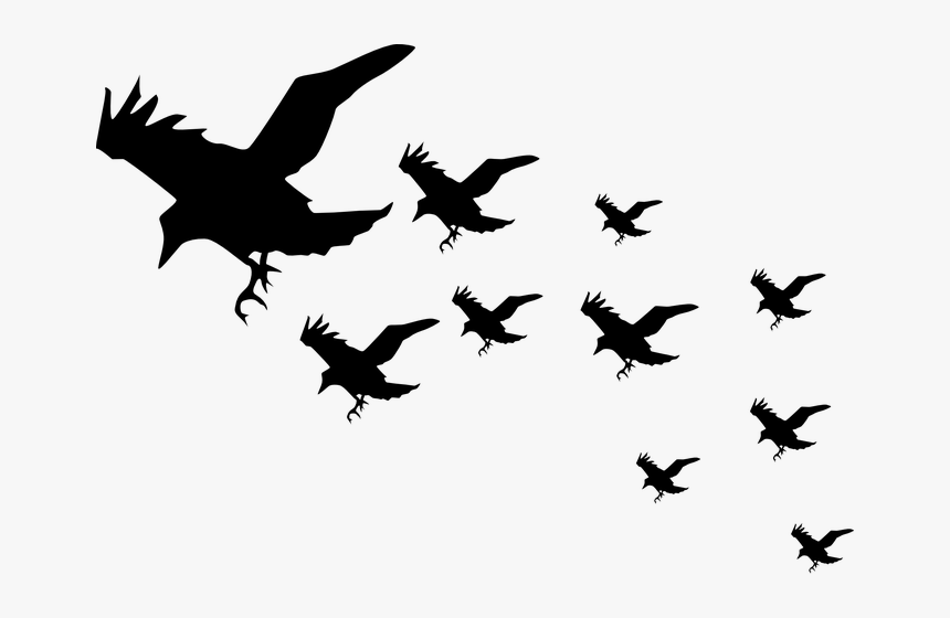 Flying Crows Clipart