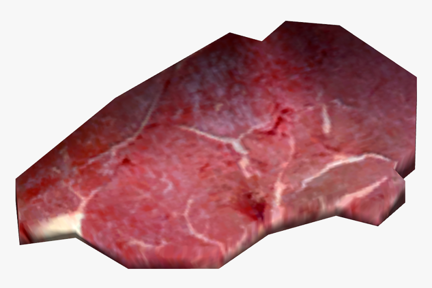 Nukapedia The Vault - Fallout New Vegas Gecko Meat, HD Png Download ...