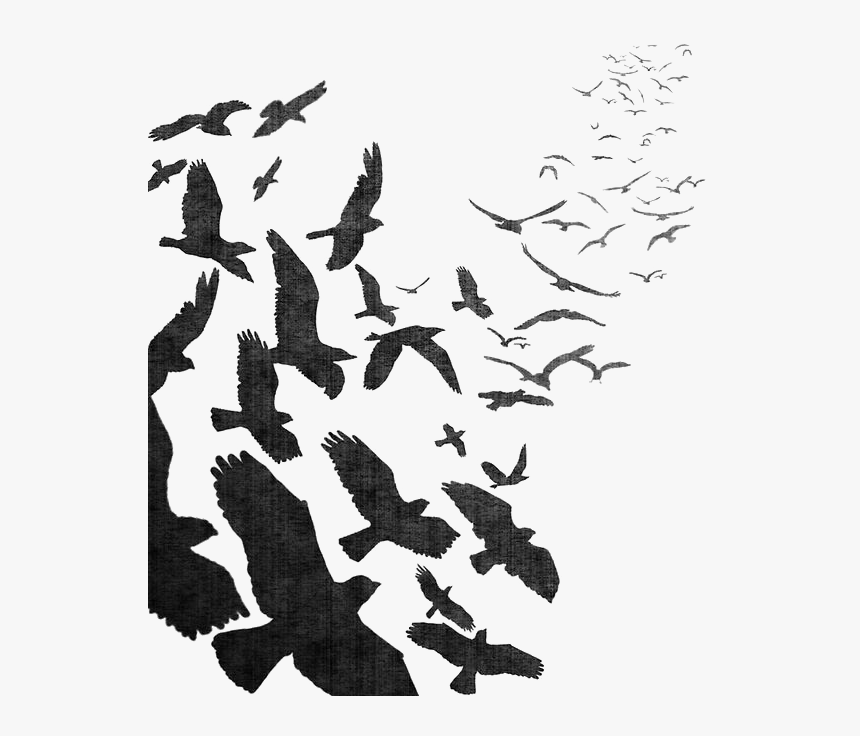 Bird Flight Bird Flight Common Raven Flock - Flock Of Crows Png ...